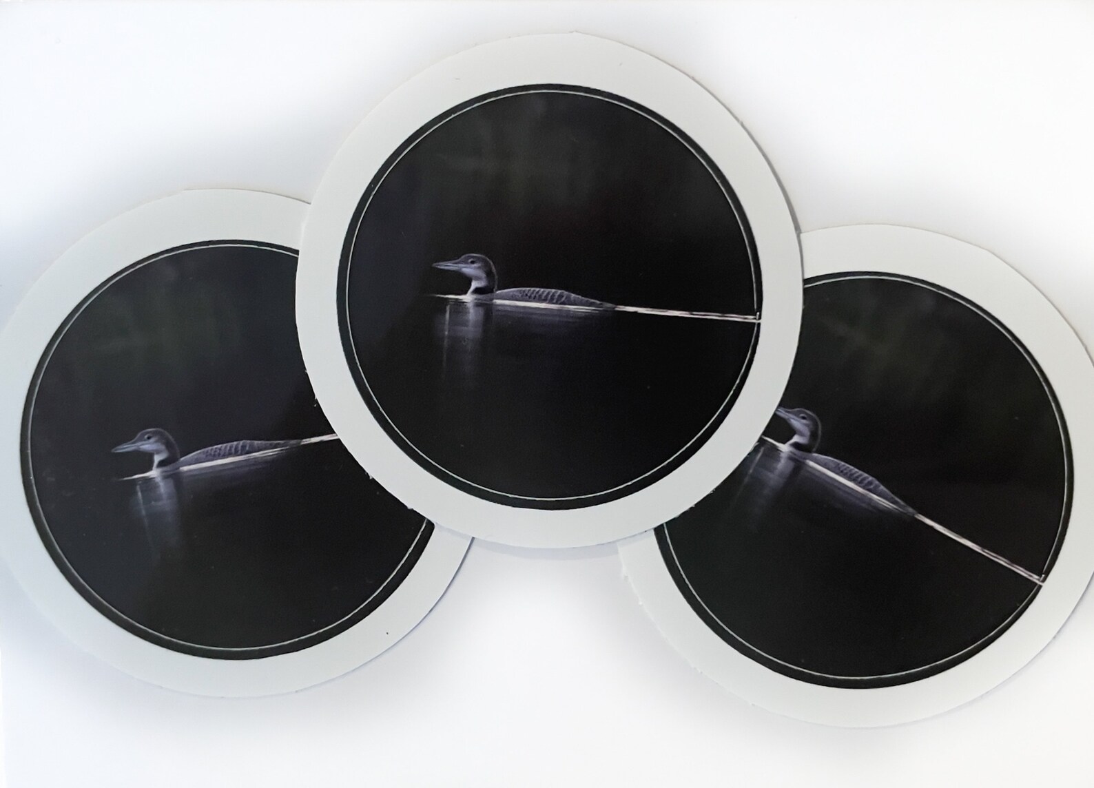 Common Loon Sticker From Photograph Juvenile Loon on Lake Loon Rescue ...