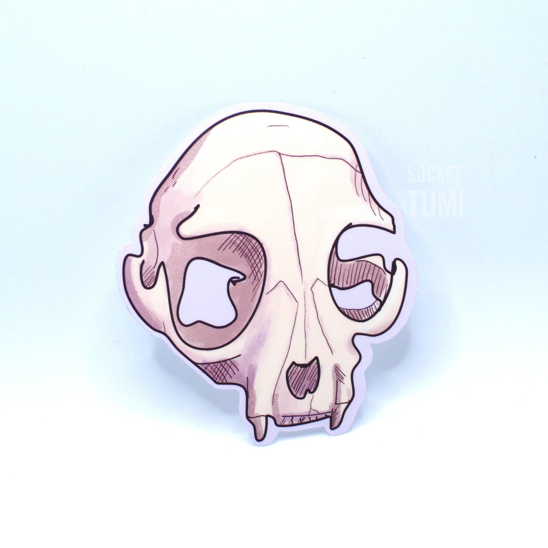 Cat Vinyl Sticker, Skull Sticker, Gift for Animal Lover, Animal Anatomy ...