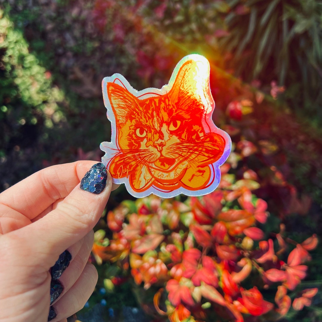 Popcorn Kitten Holographic Cat Sticker | Cat Illustration | Catnip and ...