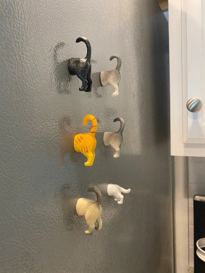 6 Cute & Funny Decorative Handmade Kitten Photo Magnets for Fridge ...