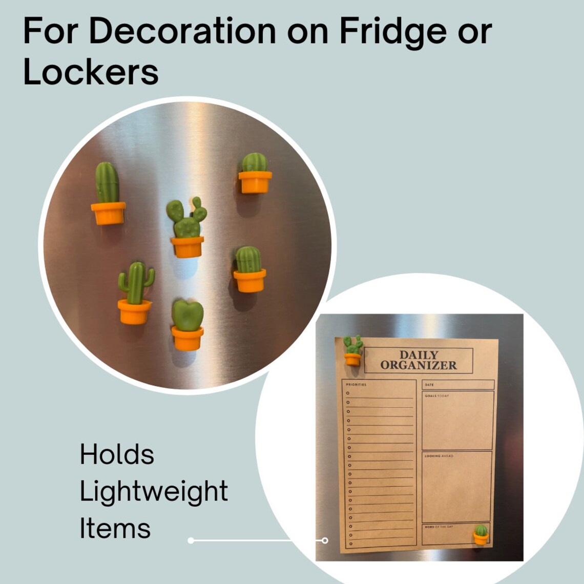 6 Cute Cactus Magnets, Cacti Magnets for Fridge, Plant Magnets, Cactus ...