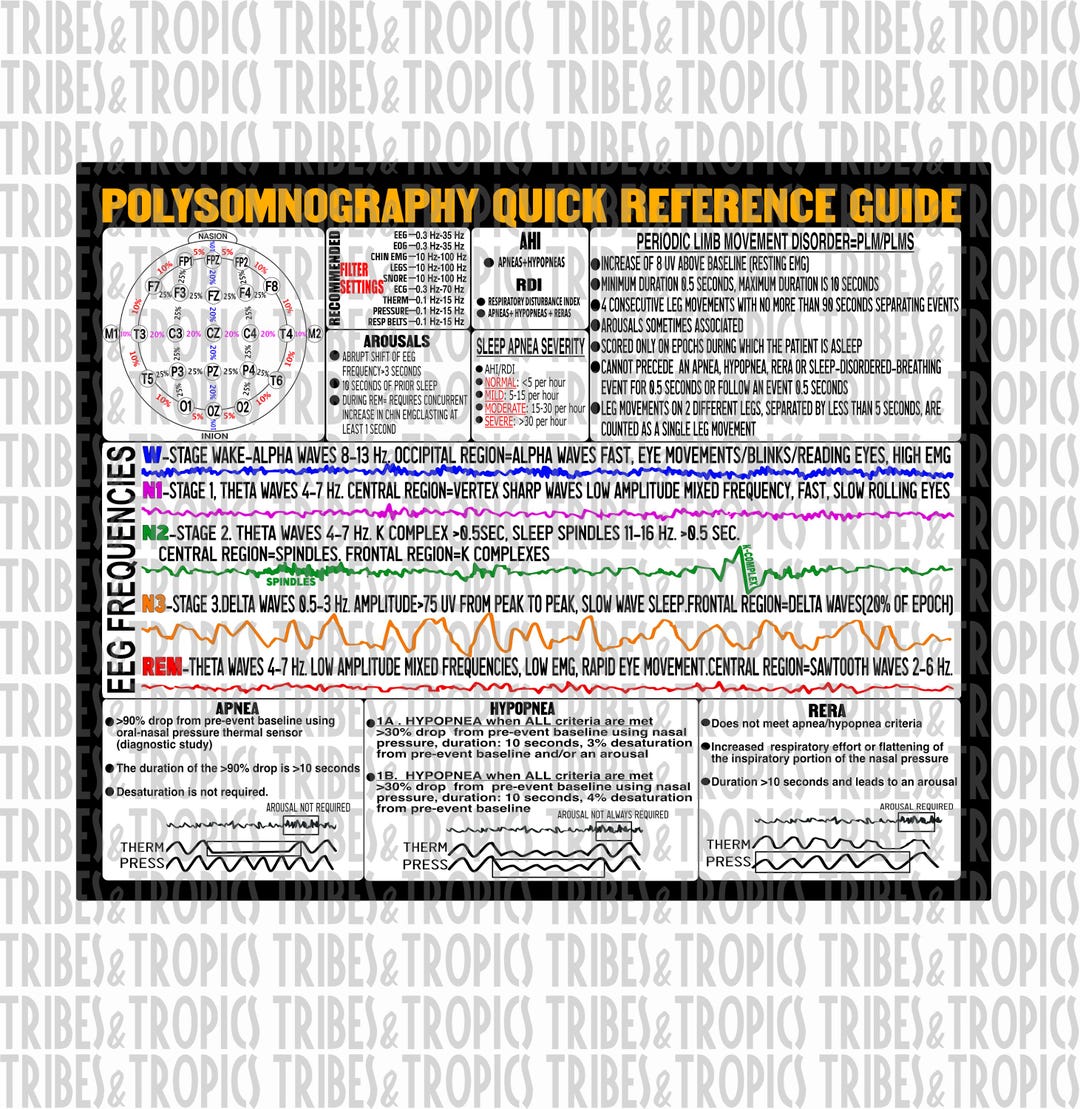 Polysomnography Scoring Reference Guide PNG, Sleep Tech, Sleep ...