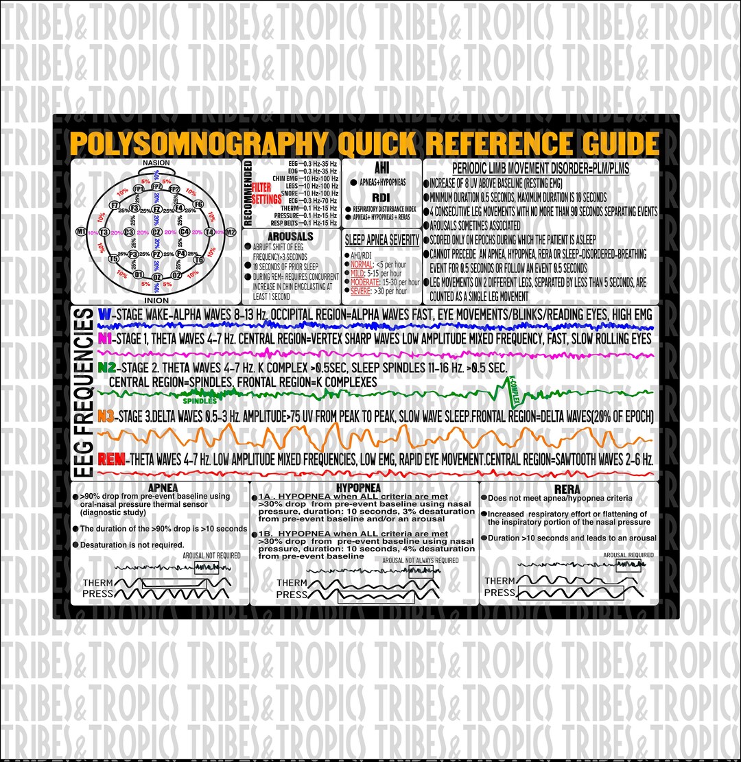 Polysomnography Scoring Reference Guide PNG, Sleep Tech, Sleep ...