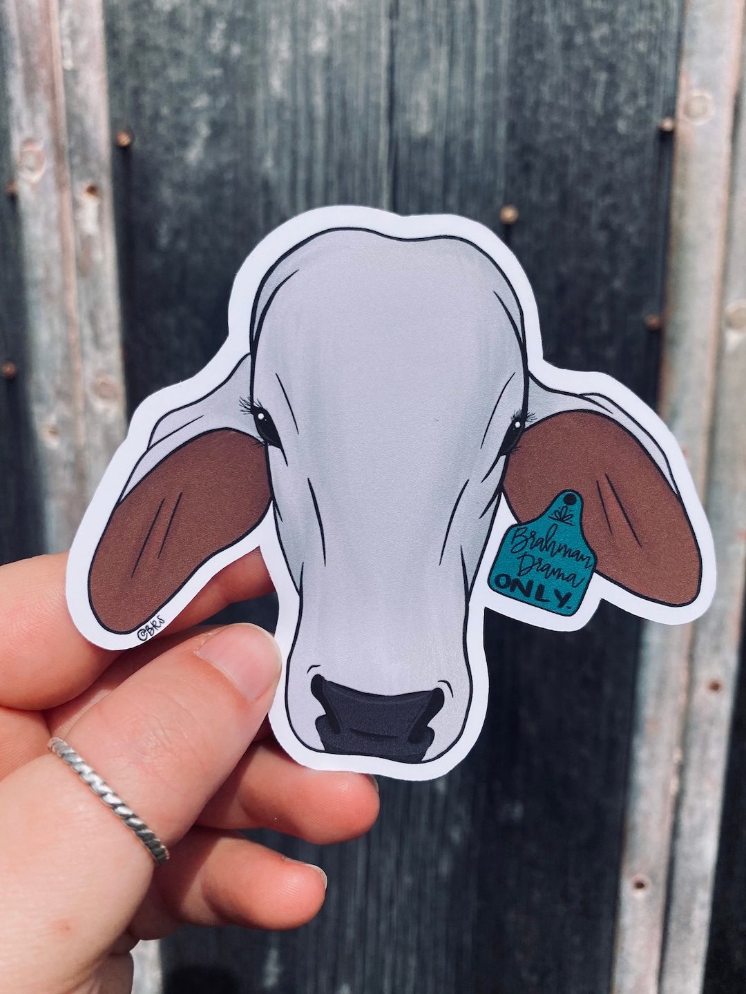 Betsy Brahman Waterproof Cow Sticker - Etsy