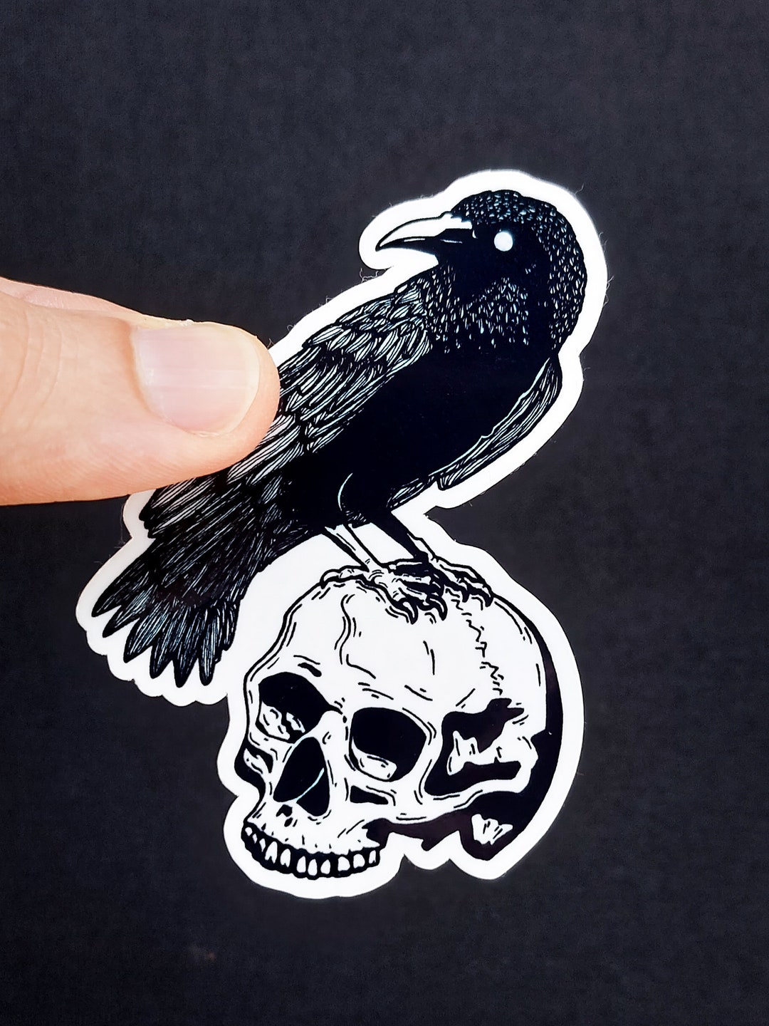 Vinyl Sticker - Raven on Skull - 3 Inch Weather Resistant Sticker - Etsy