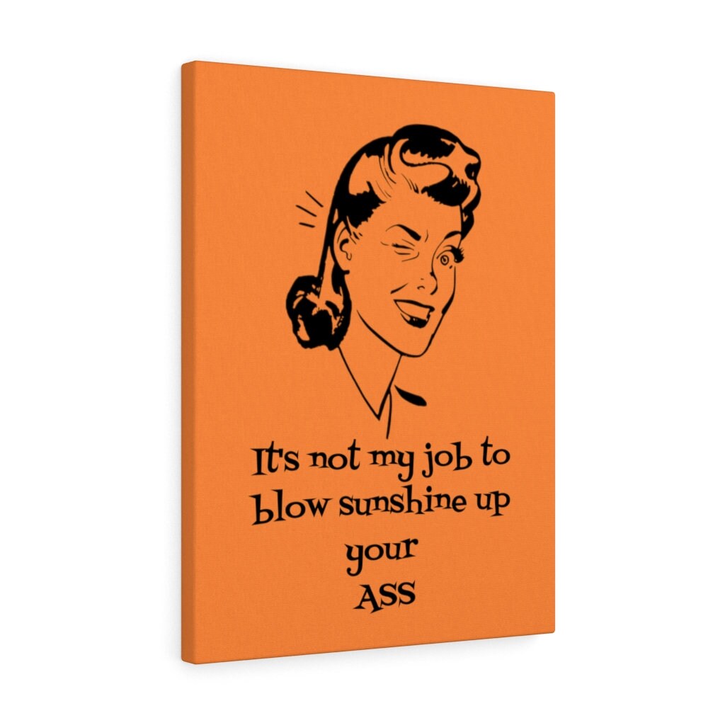 50s Retro Woman Its Not My Job To Blow Sunshine Up Etsy