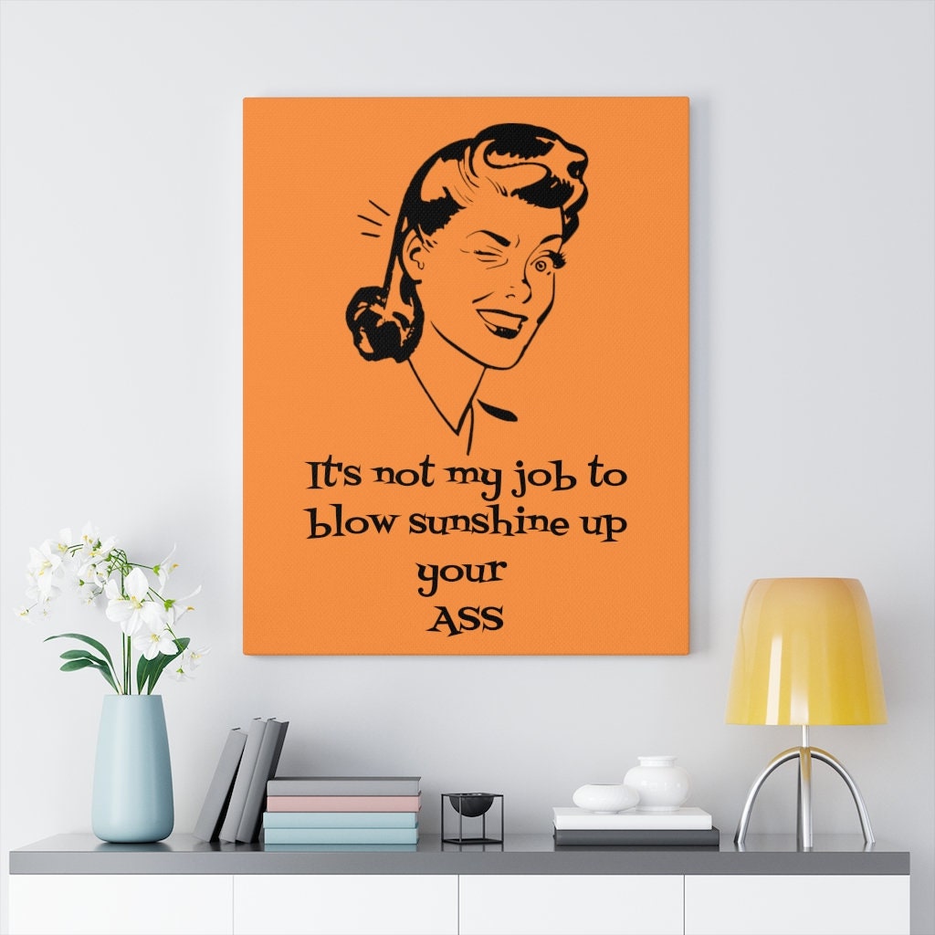 50s Retro Woman Its Not My Job To Blow Sunshine Up Etsy