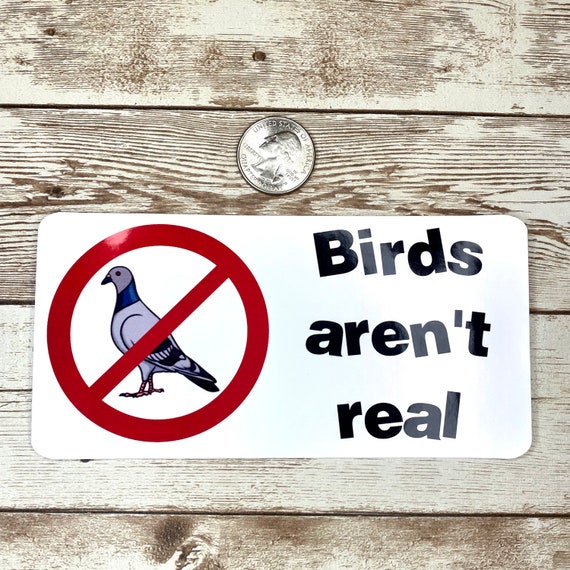 Birds Arent Real Decal Sticker - Etsy