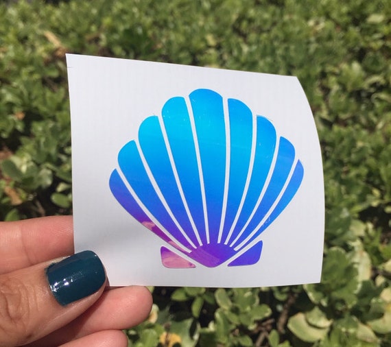 Shell vinyl decal sea shells vinyl decals car window decal | Etsy
