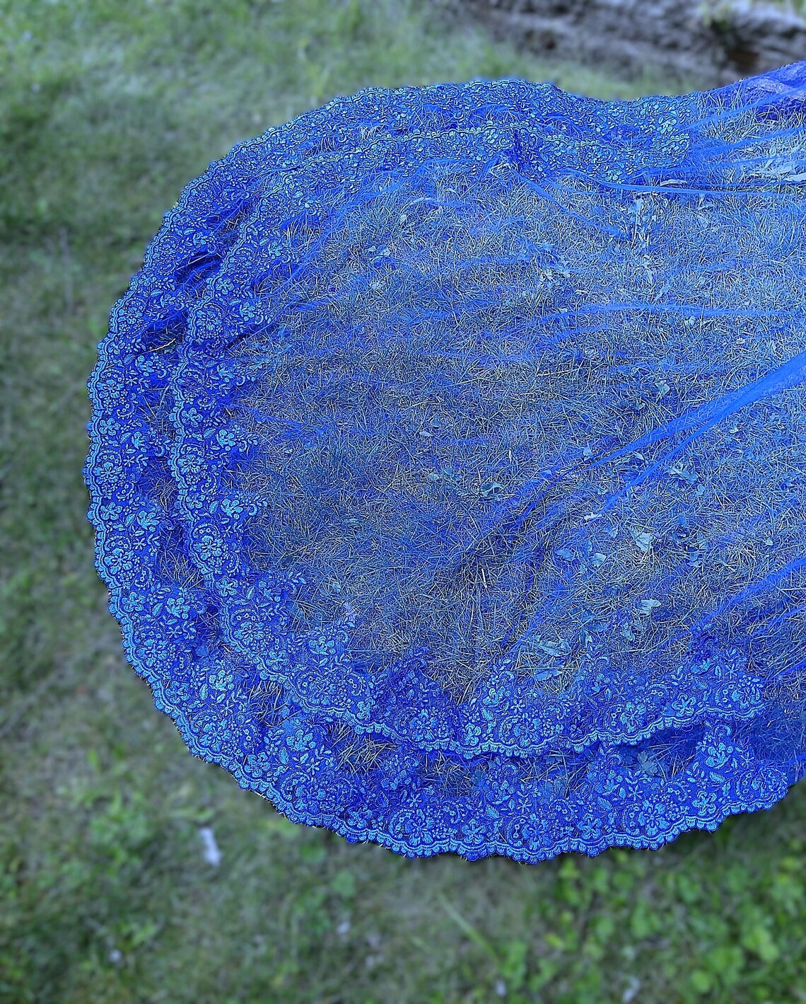 Royal Blue Cathedral Wedding Veil: Double Lace Edge With Comb - Etsy