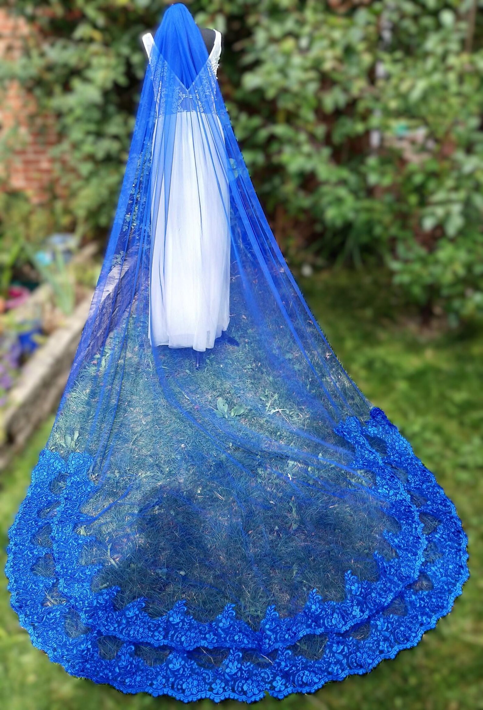 Royal Blue Cathedral Wedding Veil: Double Lace Edge With Comb - Etsy