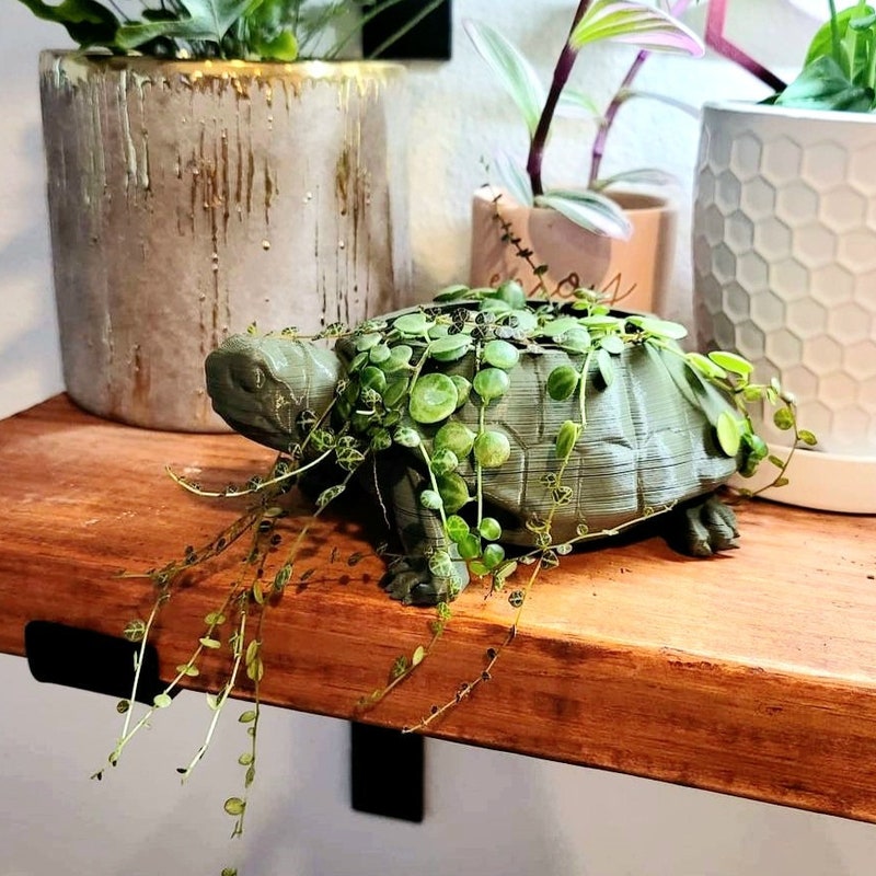 Turtle Pot - Etsy