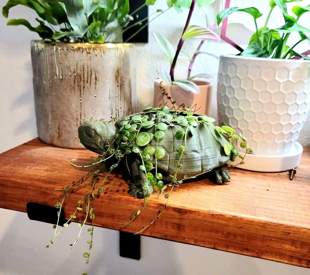 Turtle Planter Pot Drainage Optional, 3D Printed Planter, Realistic ...