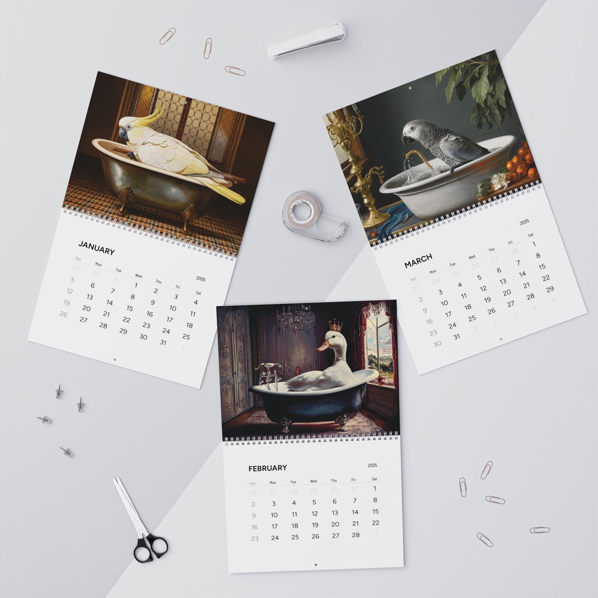 2025 Parrot & Bird Bath Calendar - Funny Bird Art Unique Parrot ...
