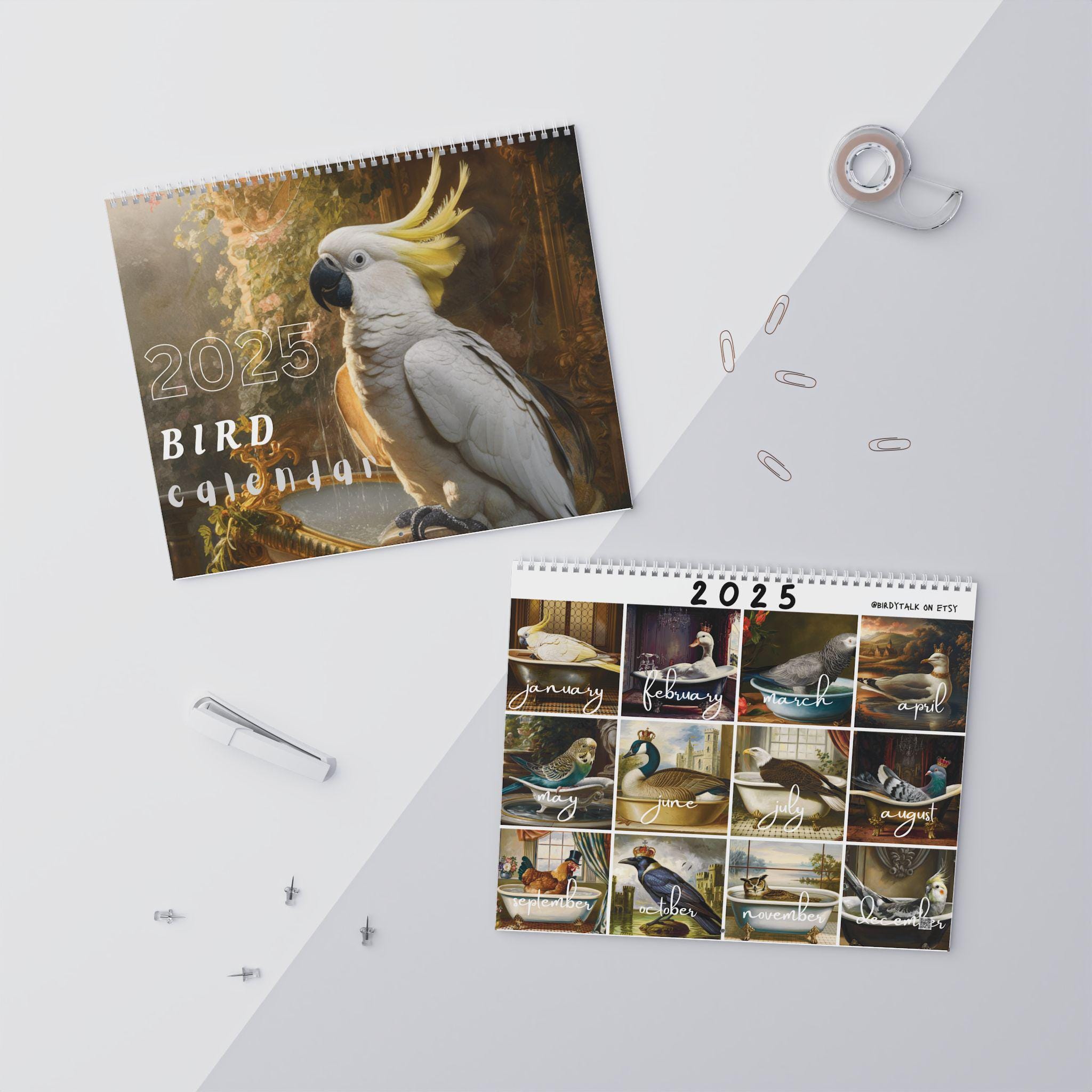 2025 Parrot & Bird Bath Calendar - Funny Bird Art Unique Parrot ...