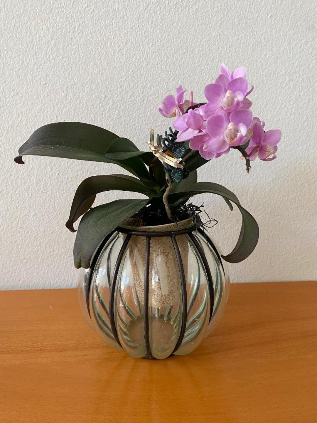Hand Blown Glass Container in Metal cage Frame Candle Holder Flower ...