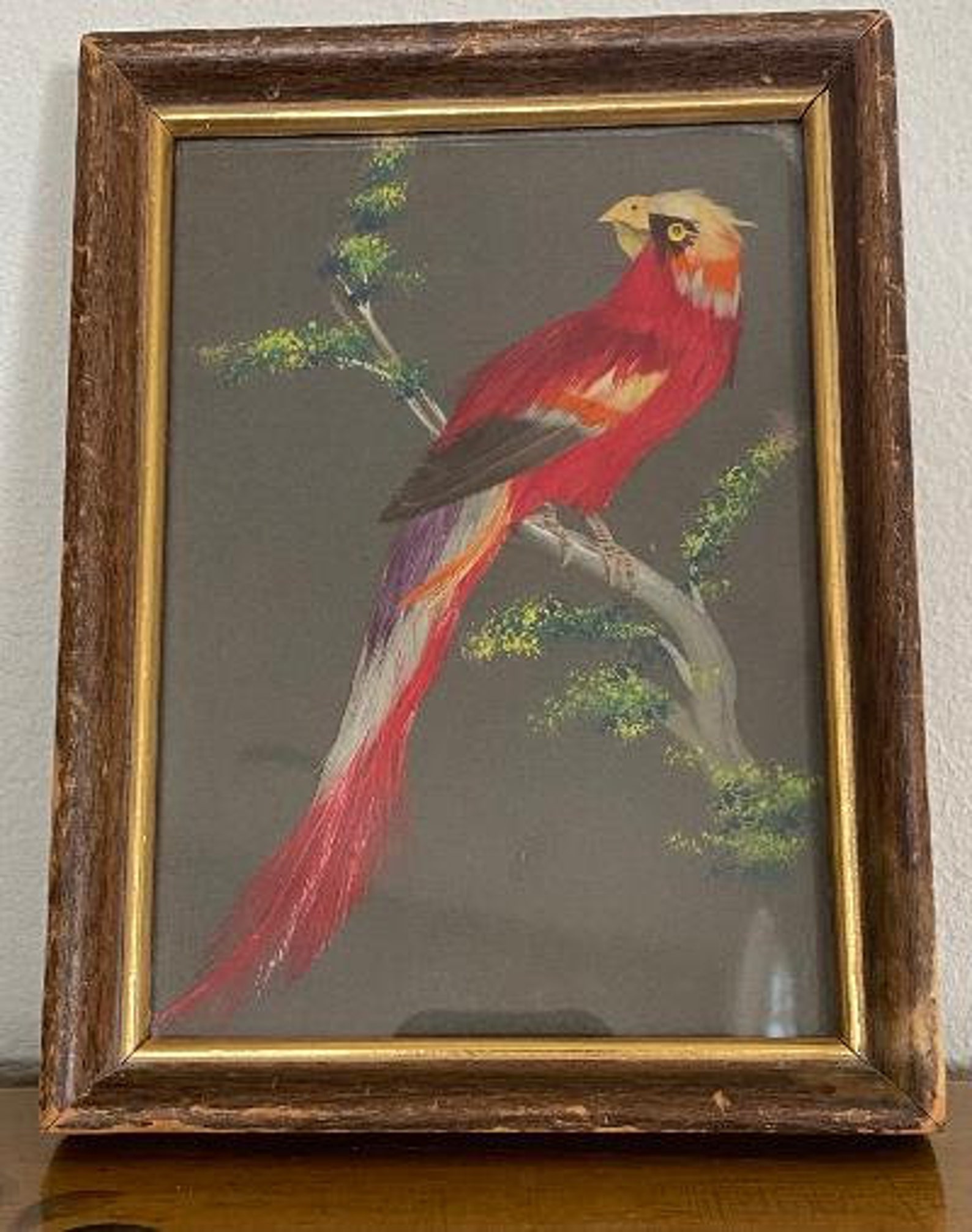 Mexican Feather Art - Bird Picture - Mexican Folk Art - Feathercraft ...