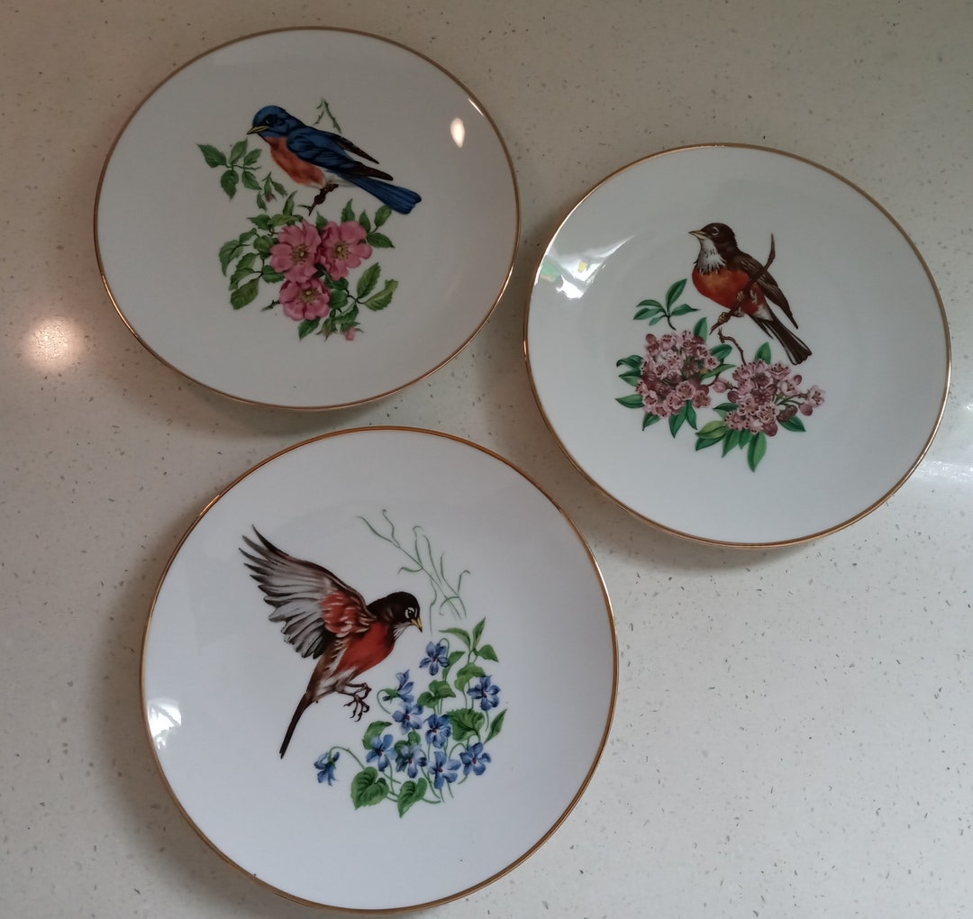 Set of 3 Vintage Songbird Plates-made by Bareuther Waldsassen- Germany ...