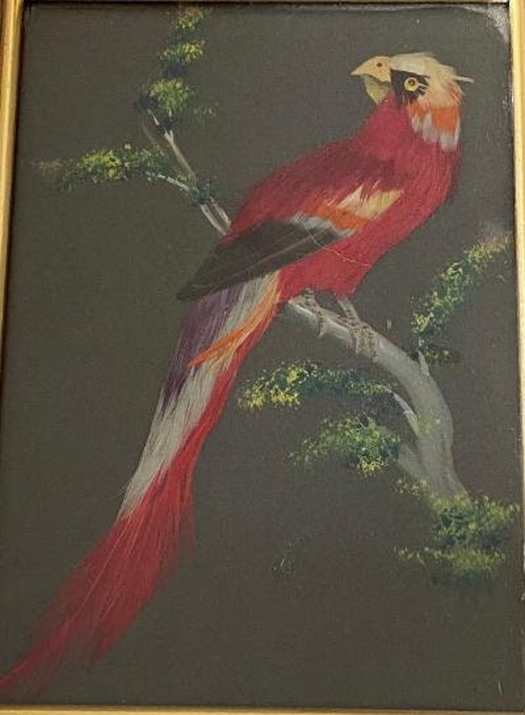 Mexican Feather Art - Bird Picture - Mexican Folk Art - Feathercraft ...