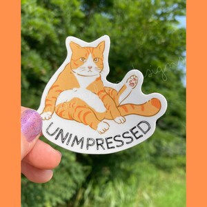 Unimpressed Orange Cat Sticker, Funny Waterproof Vinyl Decal - Etsy