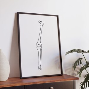 Minimalist Human Leg Bone Line Art, Digital File, Chiropractic Print ...