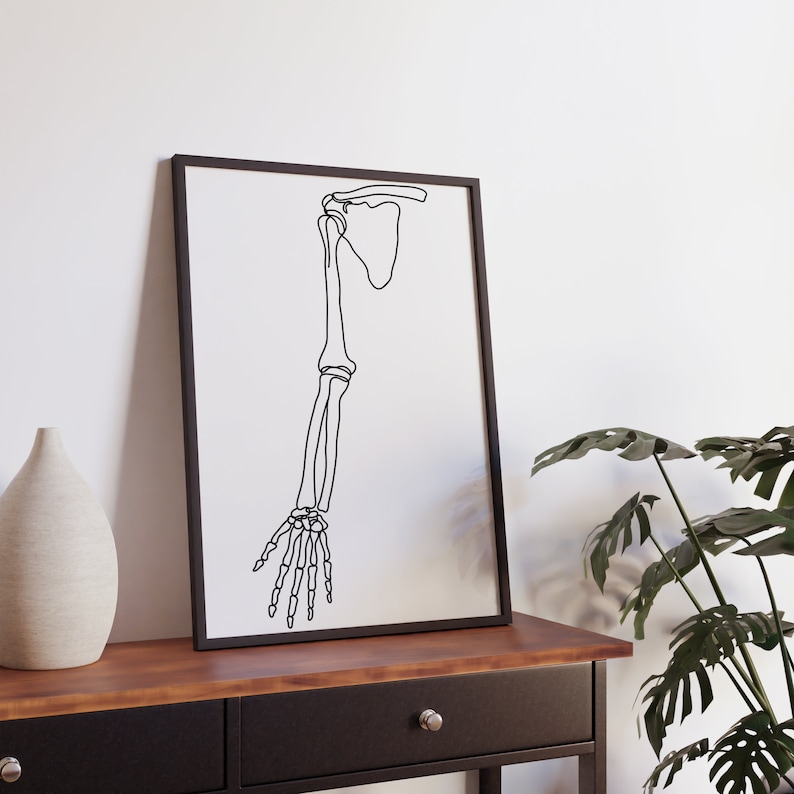Human Anatomy Gallery Set of 18 Drawings, Minimalist Bones Line Art ...