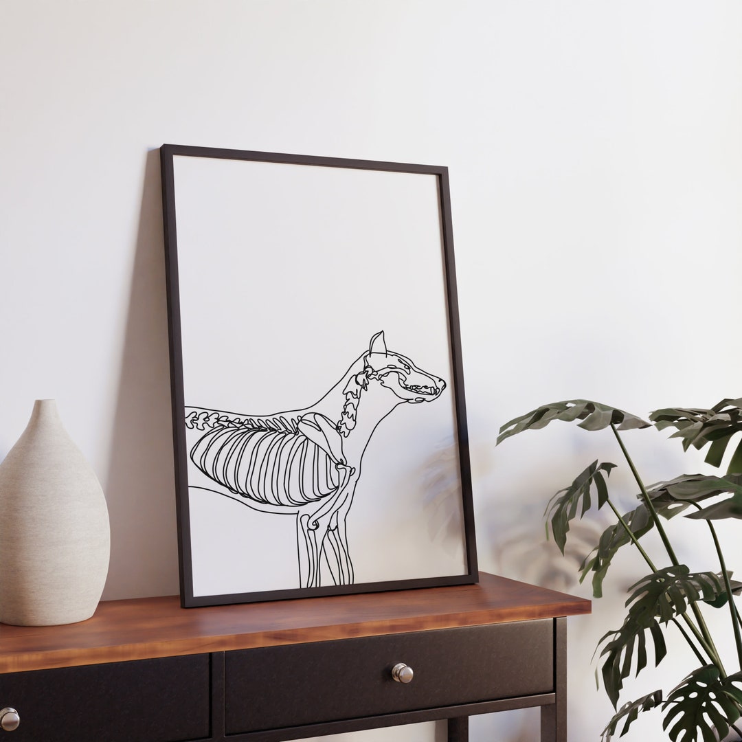 Veterinary Line Art, Digital Download, Vet Office Drawing, Clinic ...