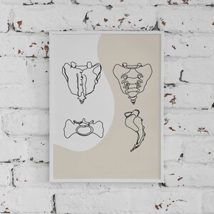 Minimalist Sacrum Spine Bones Line Art, Digital Download, Sacral Coccyx ...