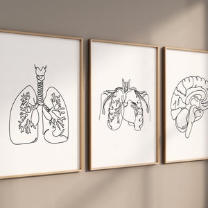 Minimalist Human Anatomy Line Art, Digital File, Gallery Set of 3 ...
