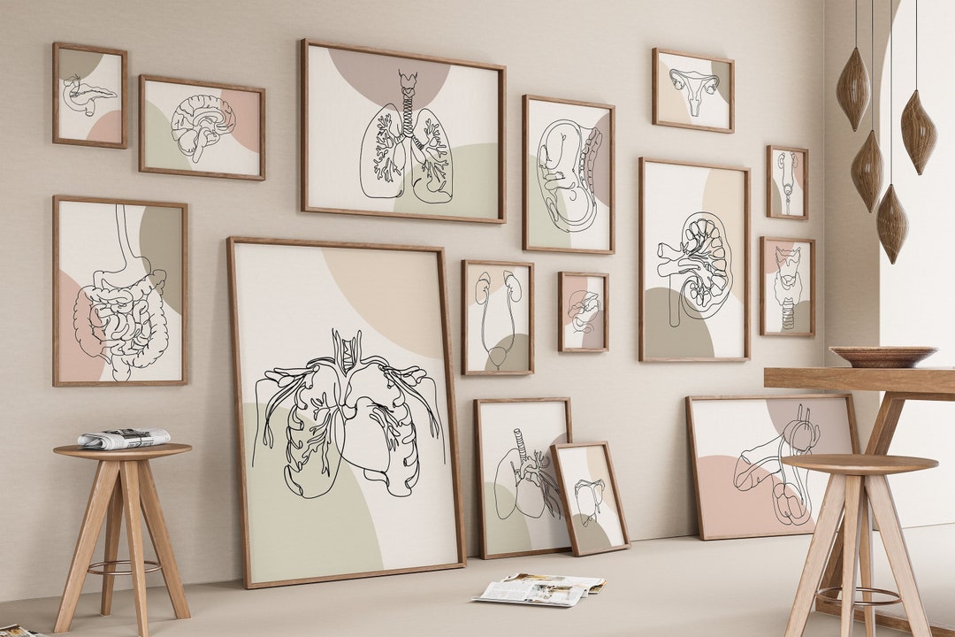 Human Anatomy Gallery Set of 15 Drawings, Minimalist Line Art Print ...