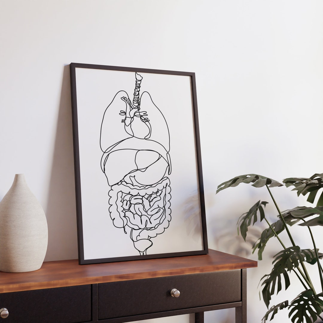 Minimalist Human Anatomy, Lungs Heart, Chest Organ Line Art, Digital ...