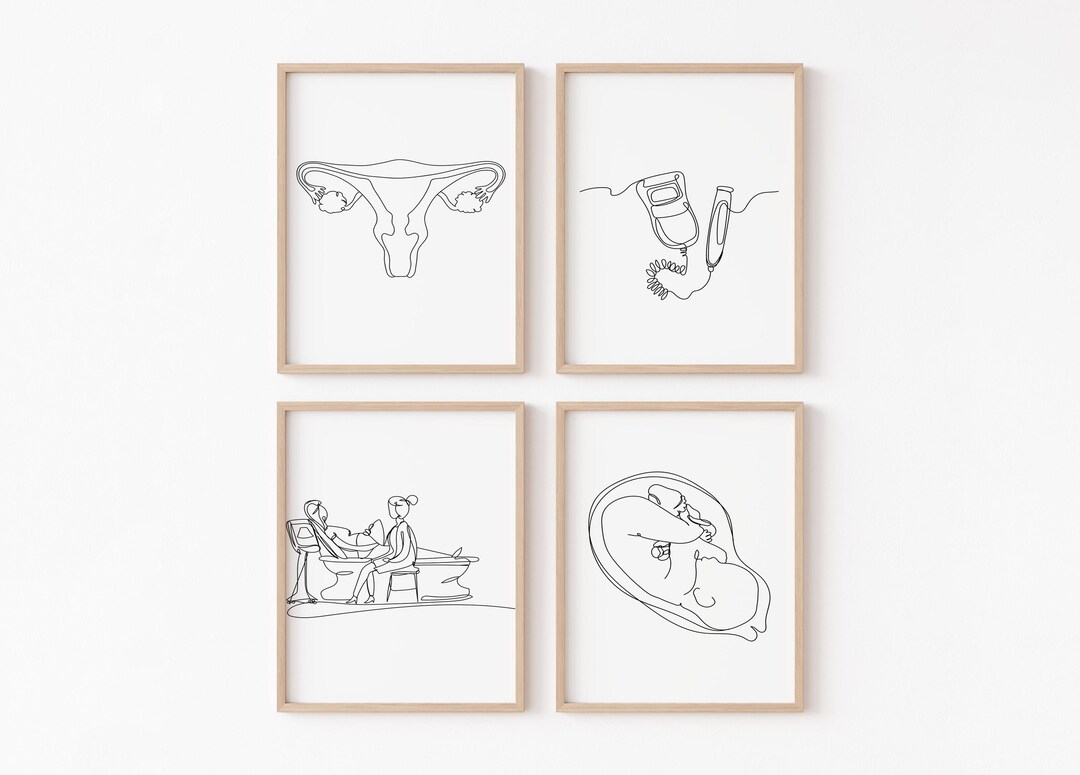 Minimalist Gynaecology Line Art Gallery Set of 4 Drawings, Office ...