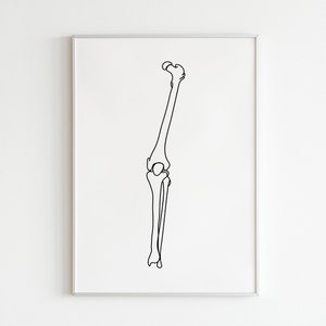 Minimalist Human Leg Bone Line Art, Digital File, Chiropractic Print ...