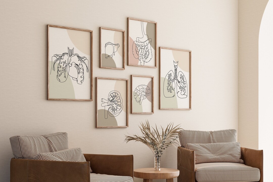 Human Anatomy Gallery Set of 6 Drawings, Minimalist Line Art Print ...