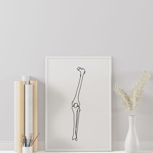 Minimalist Human Leg Bone Line Art, Digital File, Chiropractic Print ...