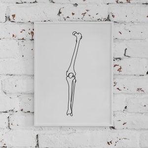 Minimalist Human Leg Bone Line Art, Digital File, Chiropractic Print ...
