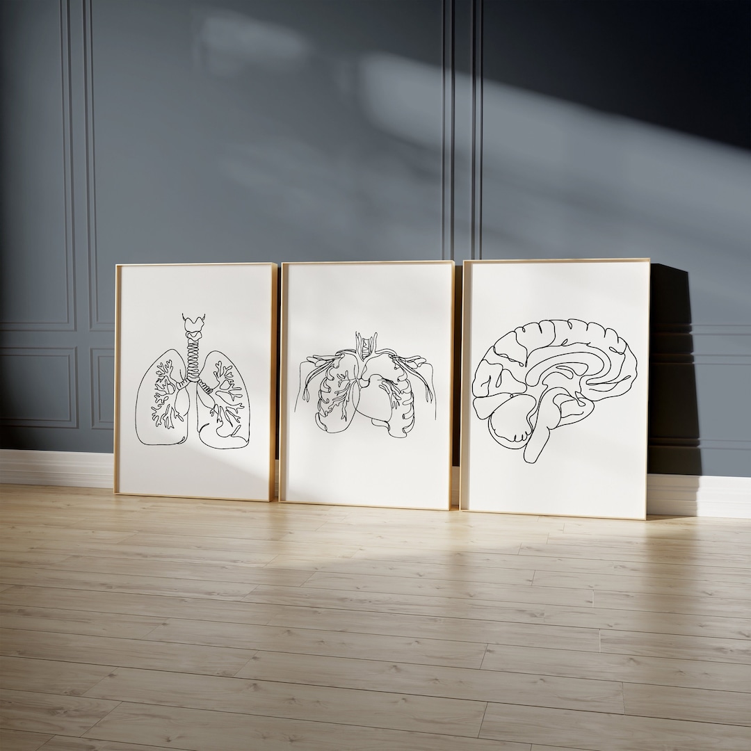 Minimalist Human Anatomy Line Art, Digital File, Gallery Set of 3 ...