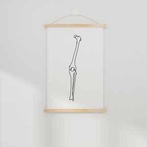 Minimalist Human Leg Bone Line Art, Digital File, Chiropractic Print ...