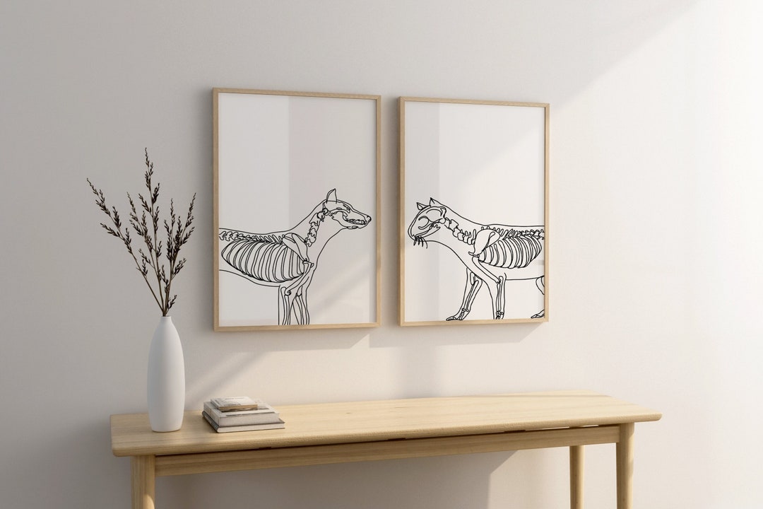 Veterinary Line Art, Digital Download, Vet Office Drawing, Clinic ...