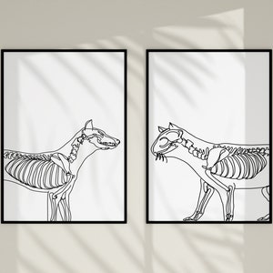 Veterinary Line Art, Digital Download, Vet Office Drawing, Clinic ...