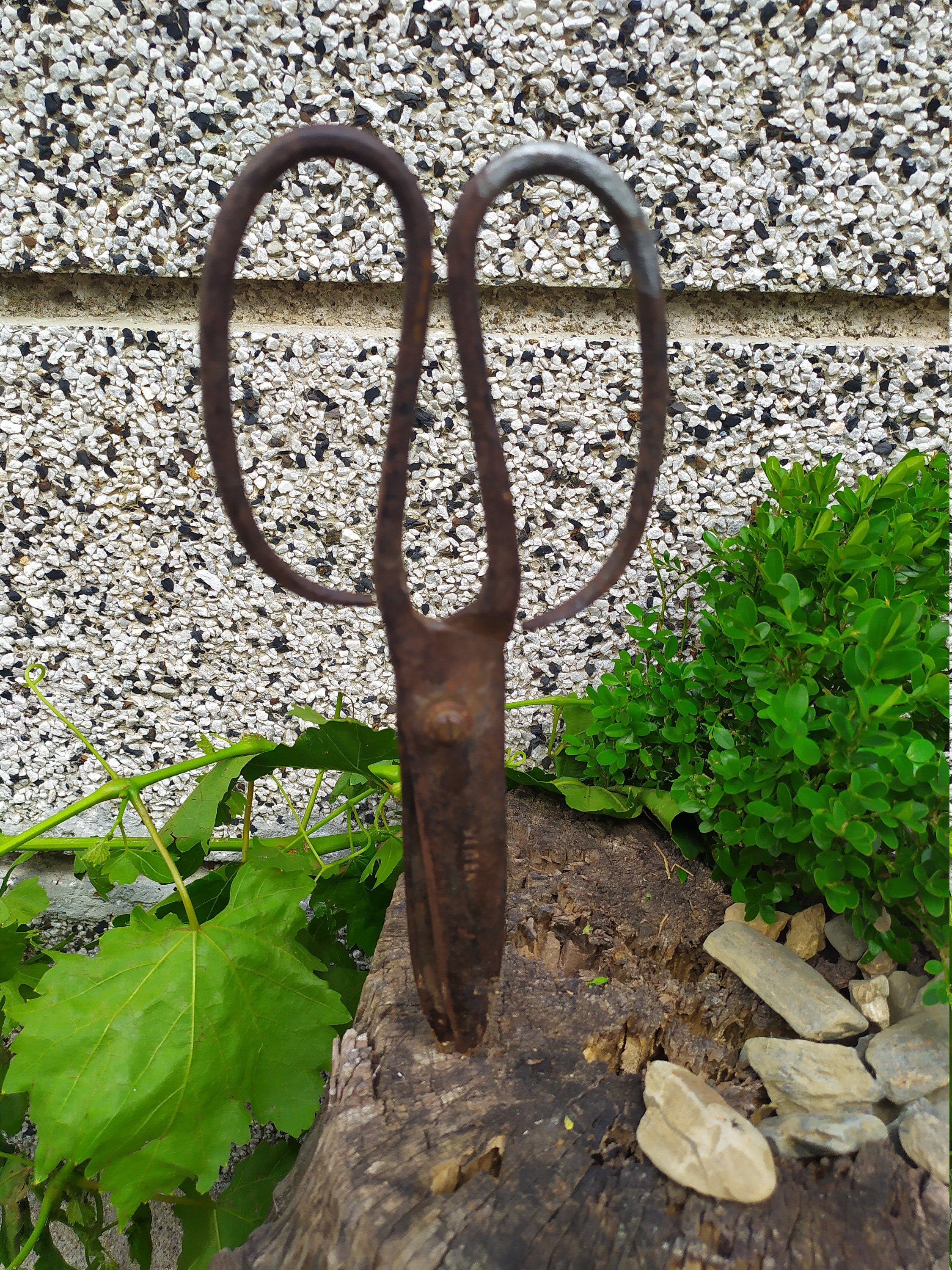 Original Vintage Scissors, Hand Forged Iron Antique Scissors, Rusty ...