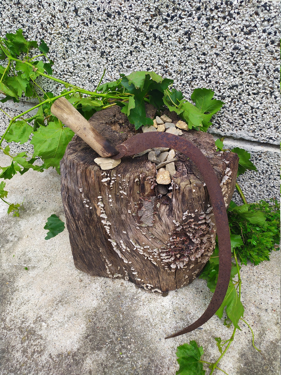 Antique Sickle, Antique Rusty Sickle, Vintage Sickle With Wooden Handle ...