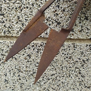 Hand Forged Vintage Sheep Shears Primitive Shepherd's - Etsy