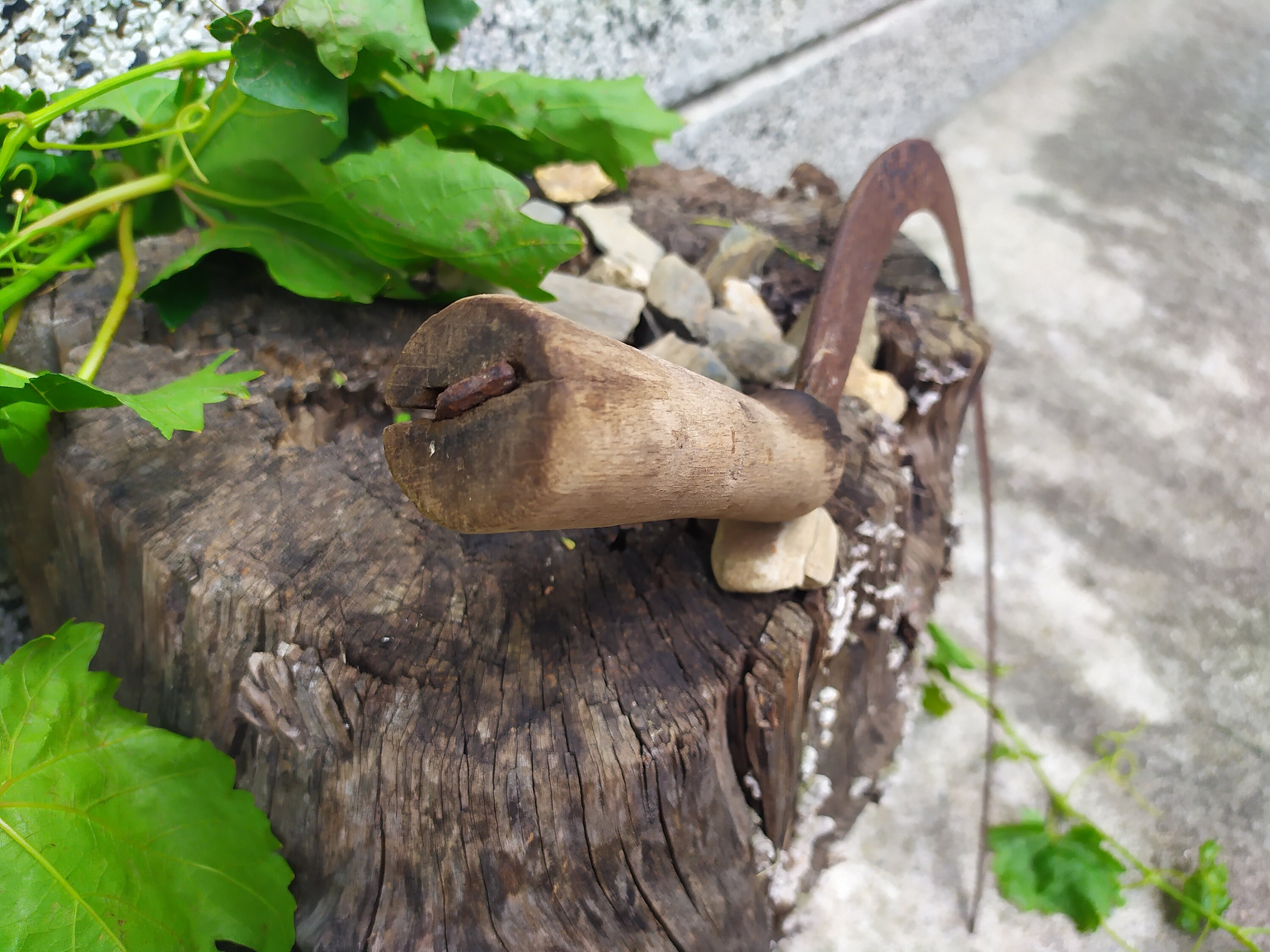 Antique Sickle, Antique Rusty Sickle, Vintage Sickle With Wooden Handle ...