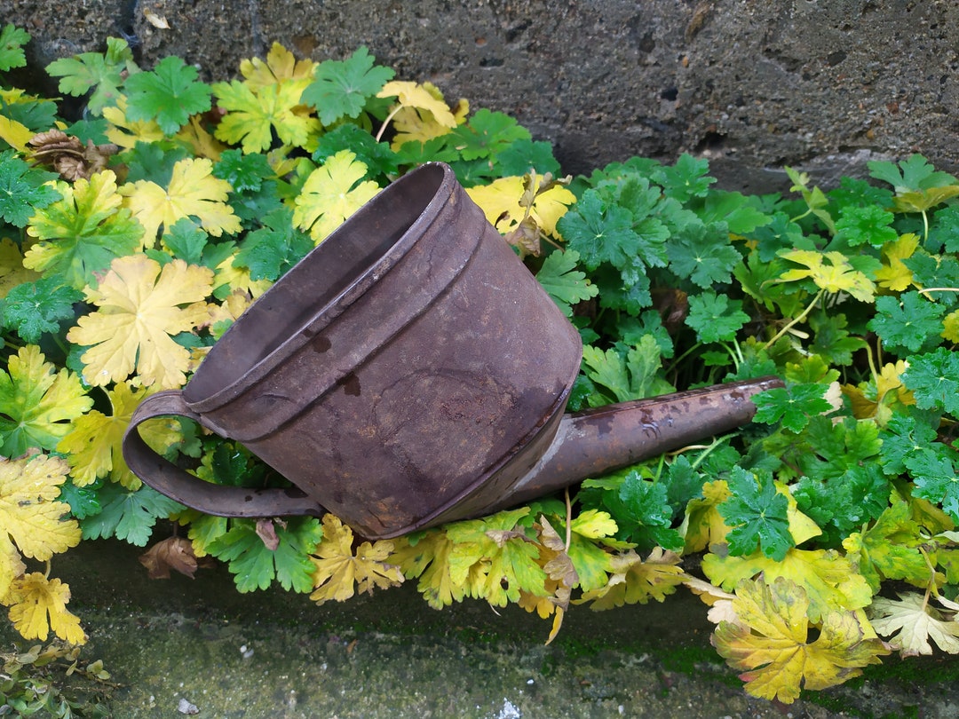 Vintage Funnel, Rusty Funnel, Large Rural Funnel, Garden Decor ...