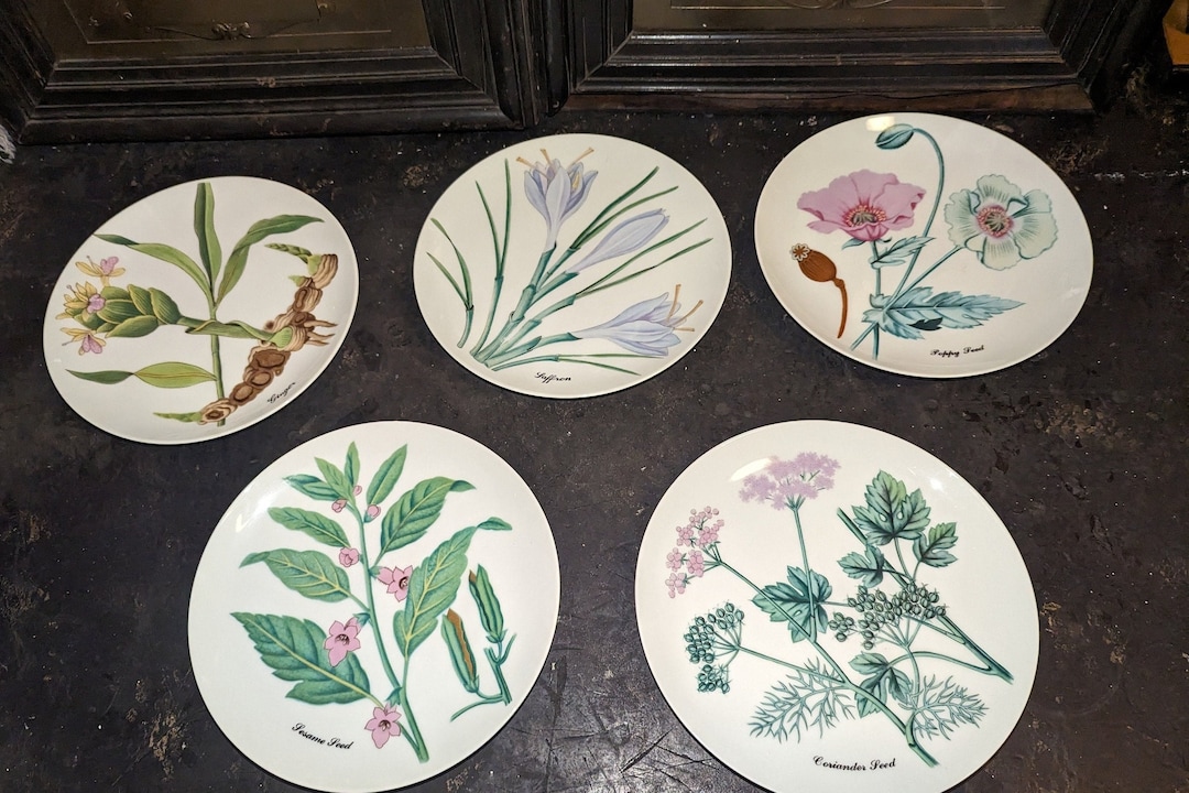 5 Vintage, Horchow Collection, Japan, Botanical, Herb Salad Plates ...