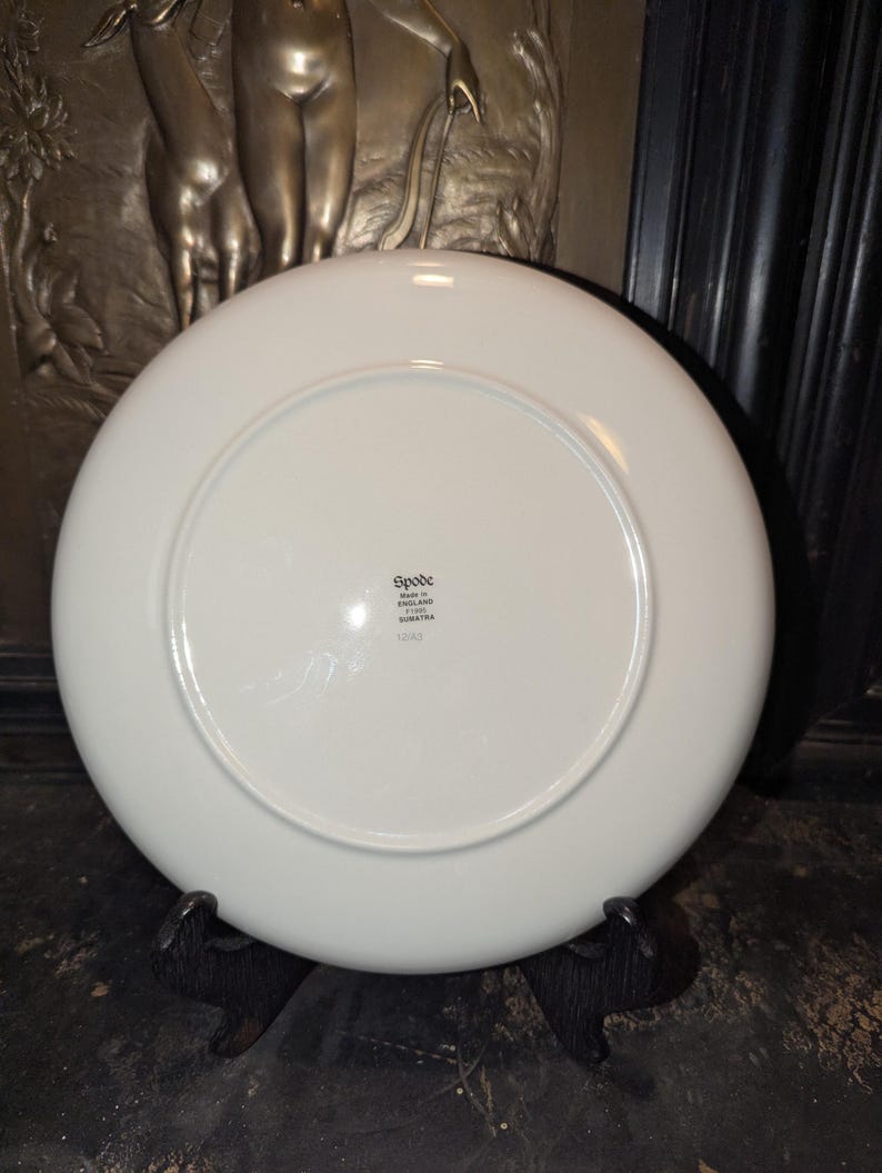 Vintage, Sumatra, by Spode, England, Cookie/salad Plate, Exotic Birds ...