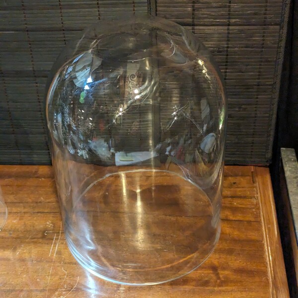 Large Glass Dome - Etsy