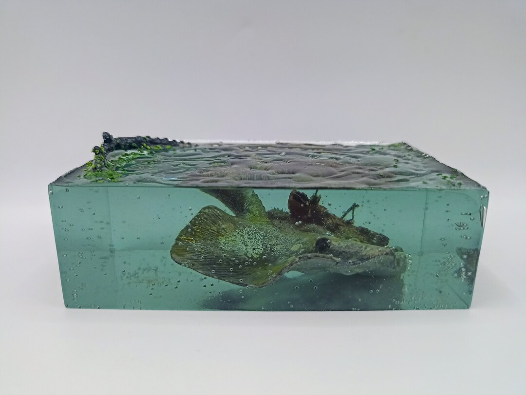 Diorama, Shipwreck on a Large Stingray in Epoxy Resin - Etsy