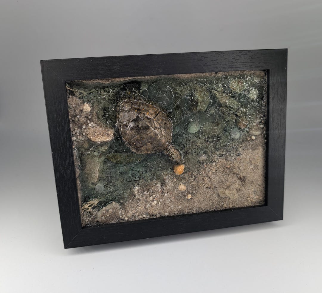 Sea Diorama in a Frame, Turtle on the Beach, Ocean Shore, Imitation ...